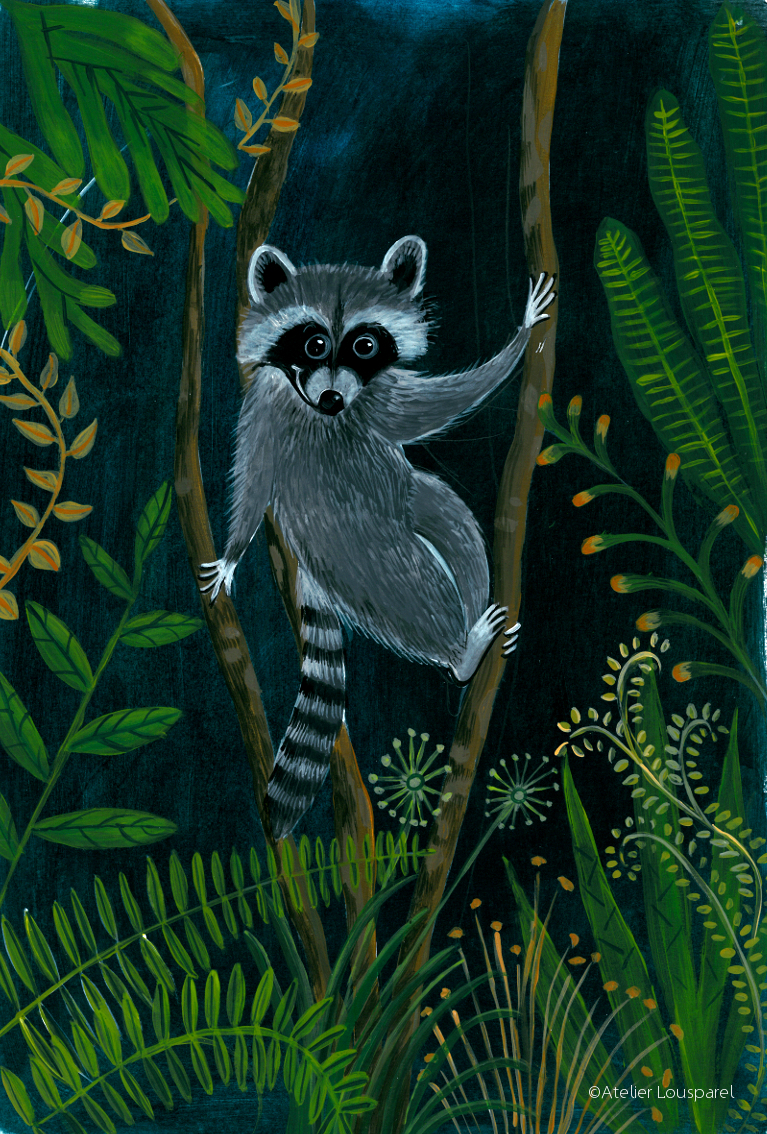 Affiche • le raton laveur • | Atelier Lousparel